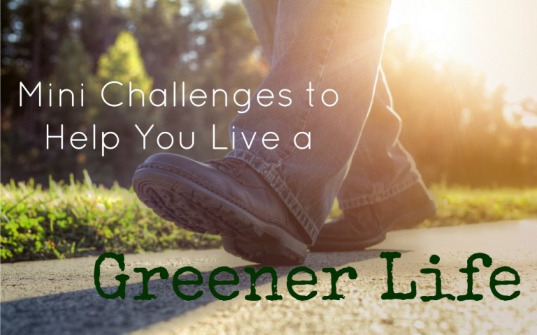 Five Mini Challenges to Help You Live a Greener Life