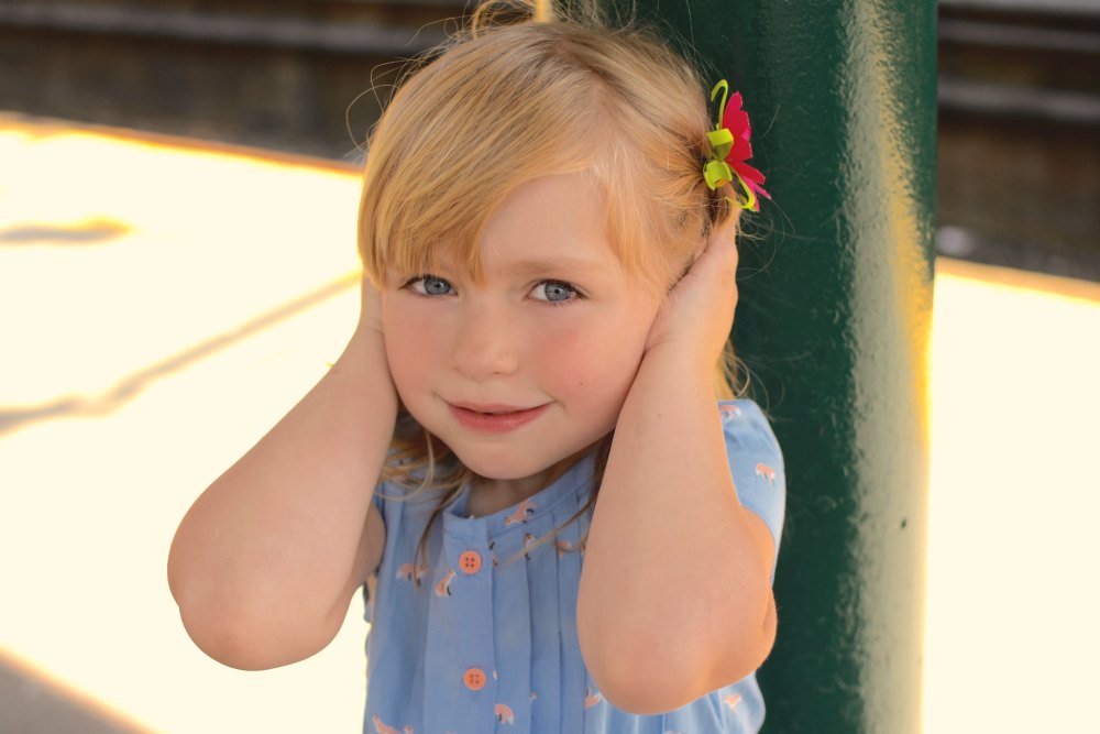 Sensory Issues FAQs Auditory Avoiders Seekers And Loud Noises Sensory Issues FAQs Auditory Avoiders Seekers And Loud Noises